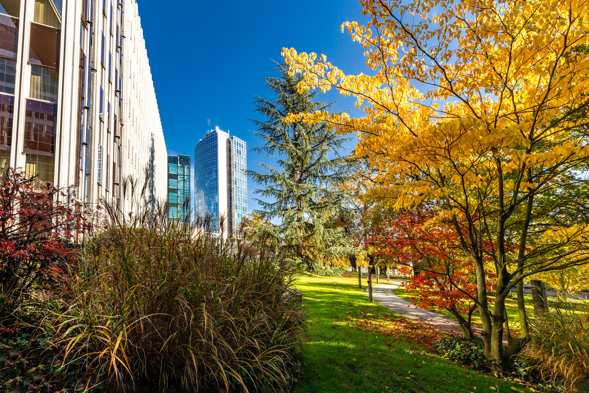 Andrés Izquierdo – Centre on Knowledge Governance